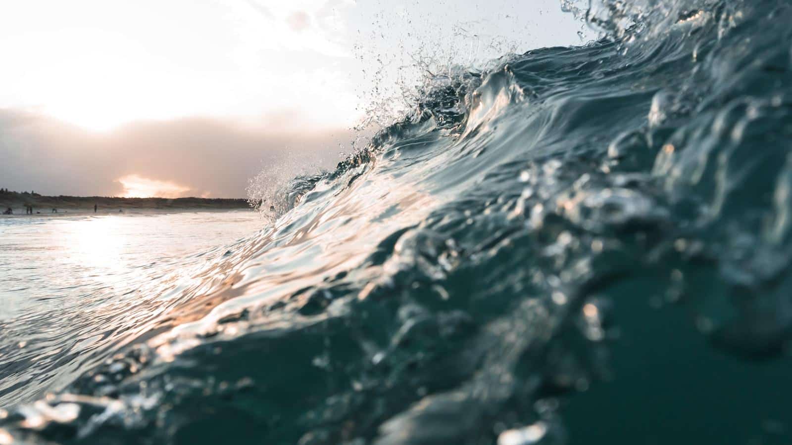 Contracts Made Manageable - WorkFlow360 CRM